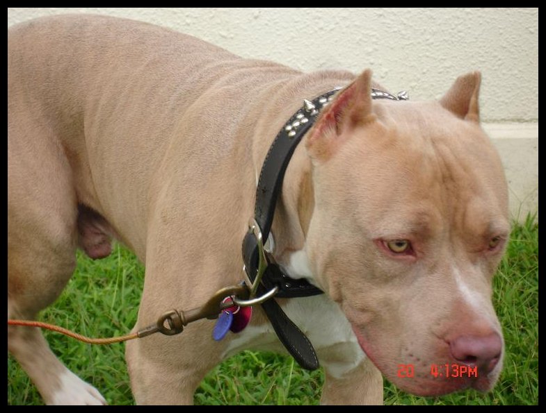 Iverson's Pits - "More Kane Pics"