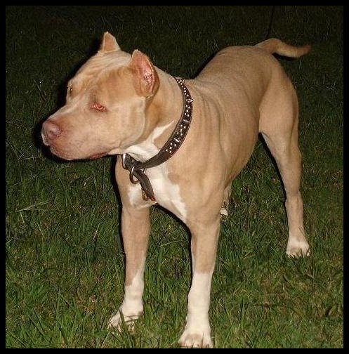 Iverson's Pits - "More Kane Pics"