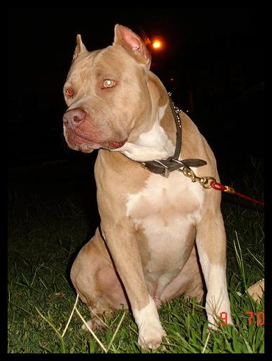 Iverson's Pits - "More Kane Pics"