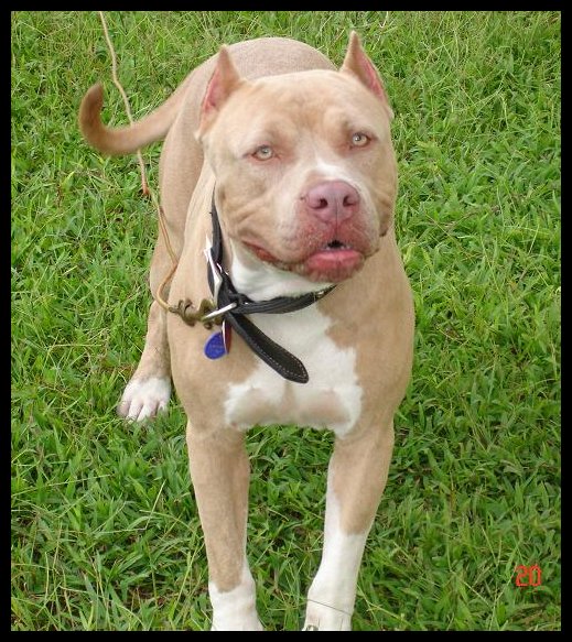 Iverson's Pits - "More Kane Pics"