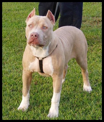 Iverson's Pits - "More Kane Pics"